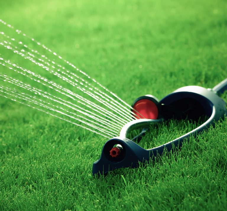 Site Maintenance | AusGAP Certified