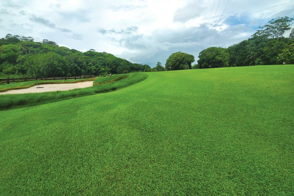 Teven Valley Golf Course | AusGAP Certified