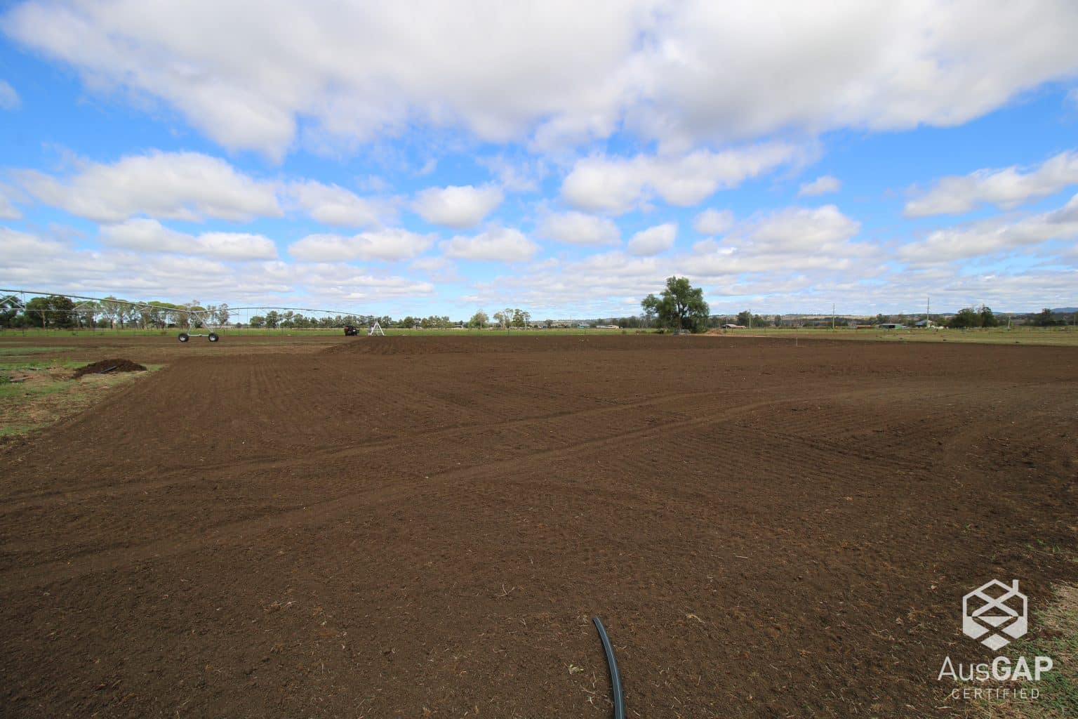 The art and science of turfgrass production | AusGAP Certified
